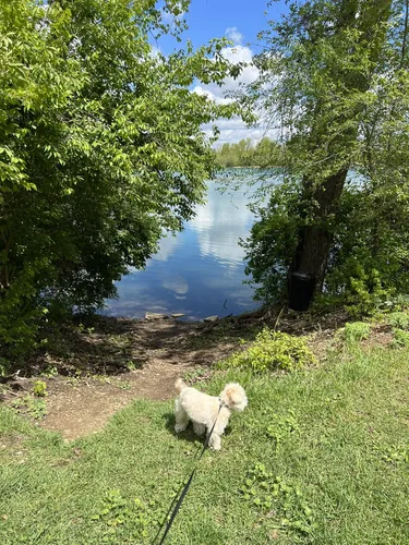 Best Hikes and Trails in Thomas O. Marsh Park | AllTrails