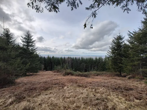 Best Hikes and Trails in Pilchuck Tree Farm | AllTrails