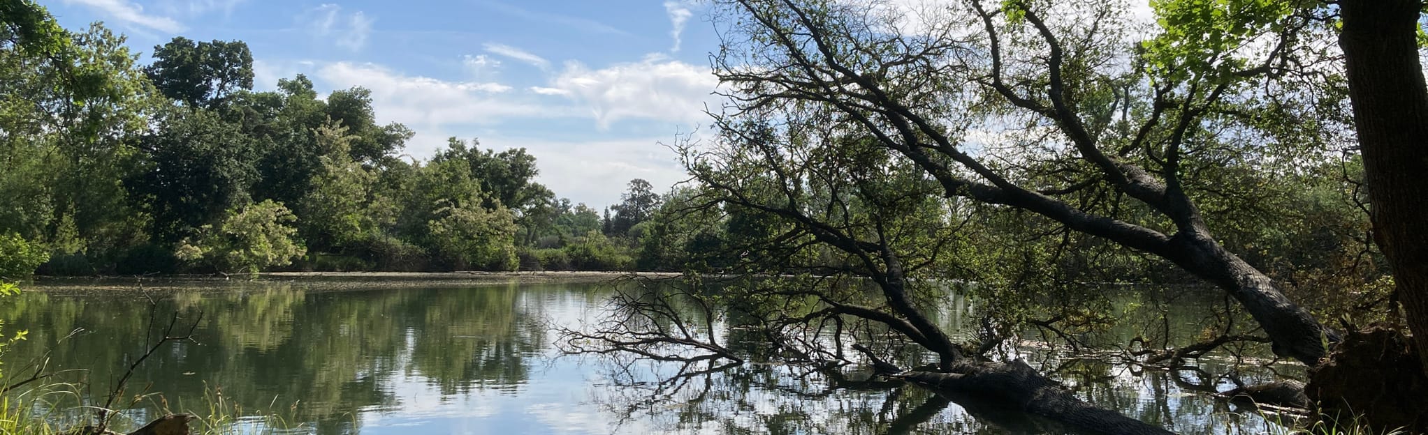 Lodi Lake Wilderness Trail [CLOSED], California - 685 Reviews, Map ...