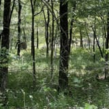 Sequoyah State Park Paved Trail, Oklahoma - 198 Reviews, Map | AllTrails