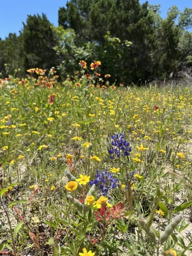 Best Hikes and Trails in Copperfield Park | AllTrails