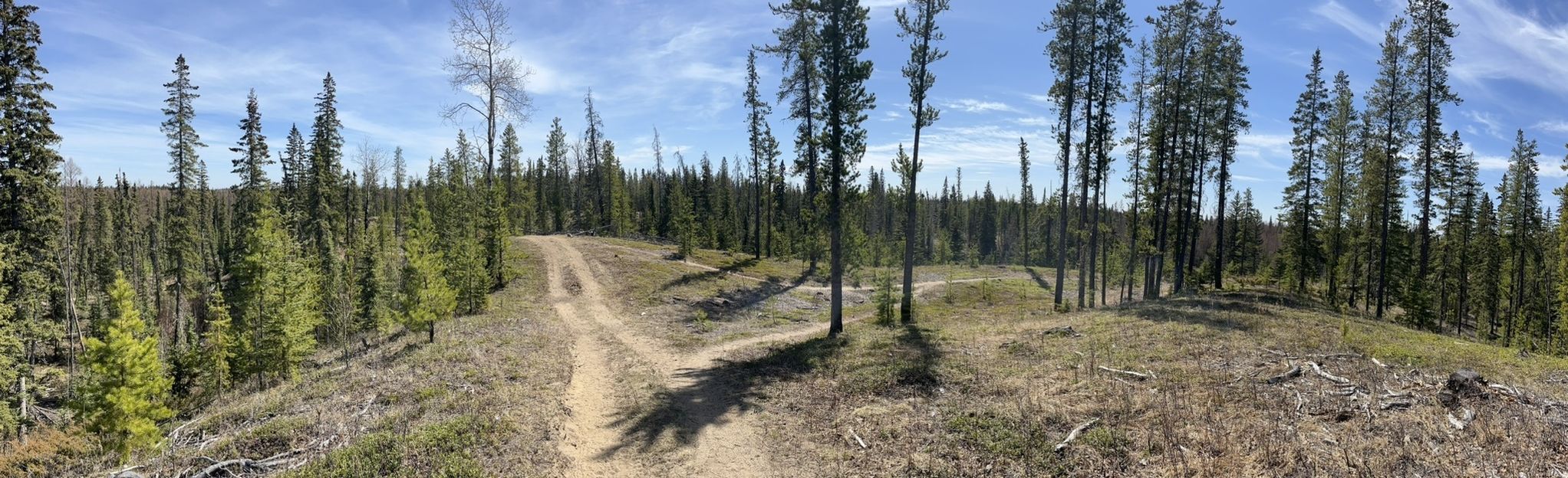 Evergreen Trail Loop, Alberta, Canada - 226 Reviews, Map | AllTrails