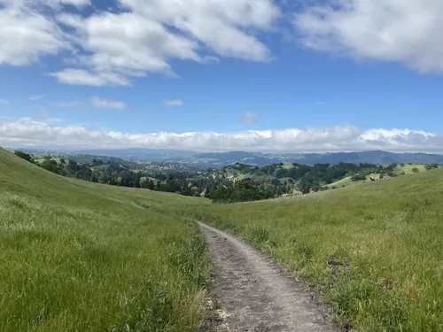 Best Mountain Biking Trails in Mount Diablo State Park | AllTrails