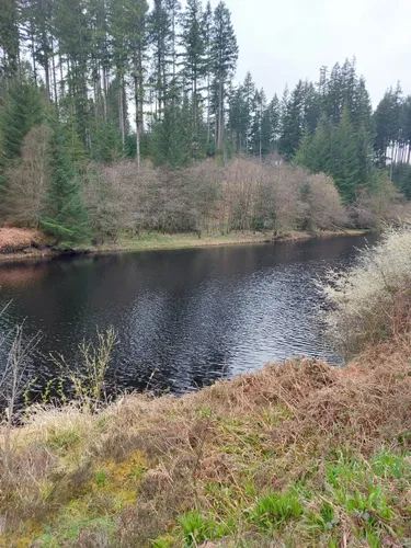 Best Hard Trails in Kielder Forest | AllTrails