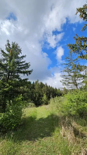 Best Hikes and Trails in Myeerah Nature Preserve | AllTrails