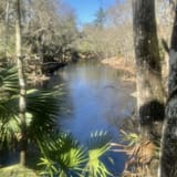 Florida Trail: Aucilla River, Florida - 51 Reviews, Map | AllTrails