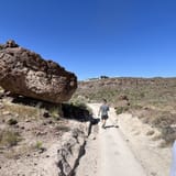 White Cliffs Wagon Trail, Arizona - 284 Reviews, Map | AllTrails
