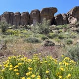 White Cliffs Wagon Trail, Arizona - 284 Reviews, Map | AllTrails