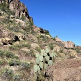 White Cliffs Wagon Trail, Arizona - 282 Reviews, Map | AllTrails