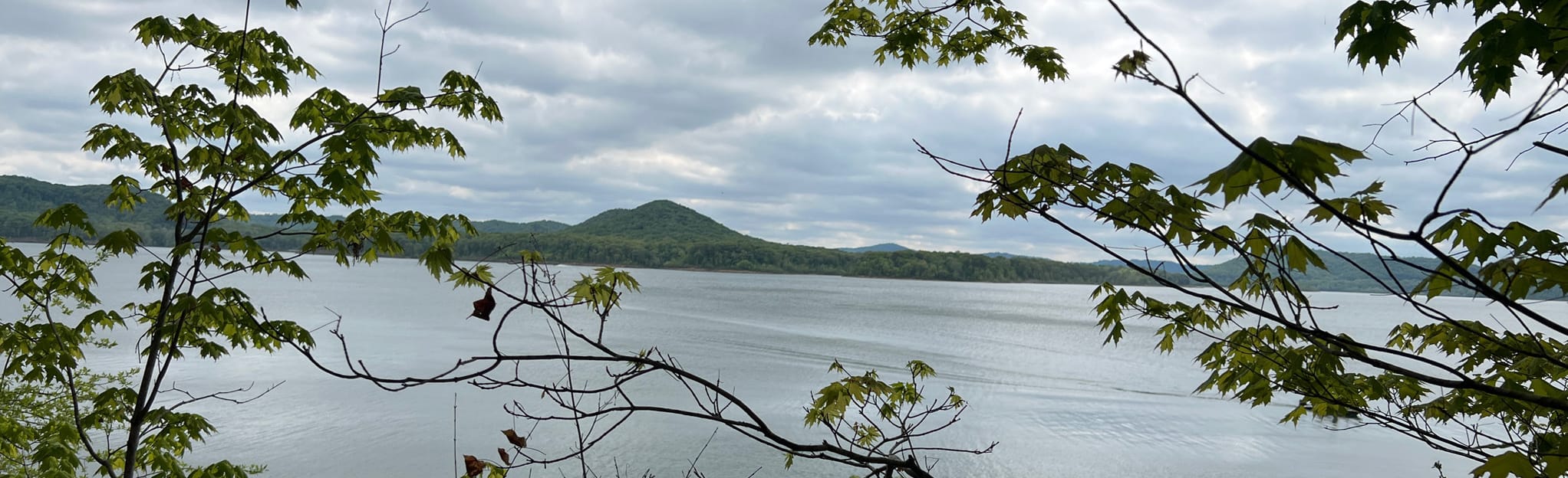 Caney Creek Loop Trail: 186 Reviews, Map - Kentucky | AllTrails