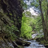 Pisgah Gorge Trail, Alabama - 307 Reviews, Map | AllTrails