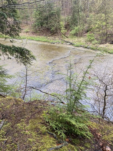 Best Hikes and Trails in Hogback Ridge Metropolitan Park | AllTrails