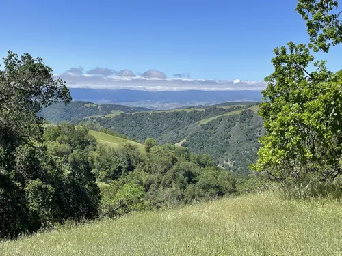 10 bedste campingruter i Gilroy | AllTrails