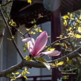 Ruston Way Trail, Washington - 1,303 Reviews, Map | AllTrails