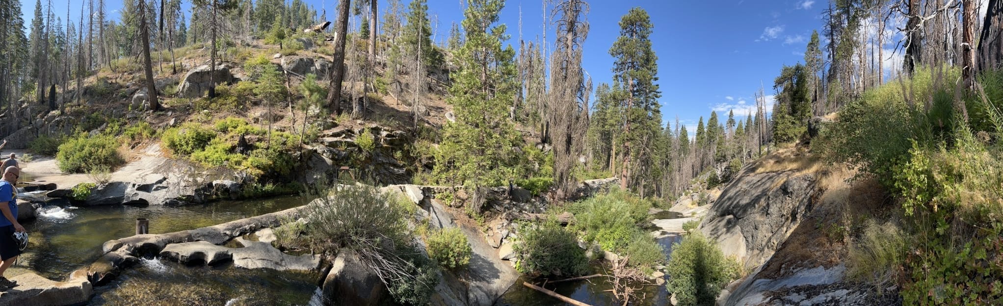 Big Sandy Road Trail, California - 184 Reviews, Map | AllTrails