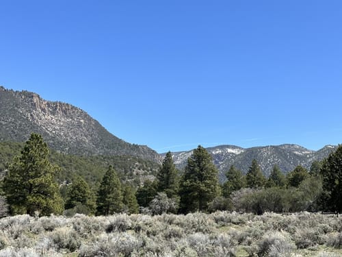 Best Hikes and Trails in Pine Valley Recreation Area (USFS) | AllTrails