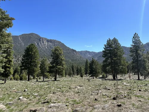 10 Best Trails and Hikes in Pine Valley | AllTrails