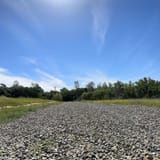 Mormon Island Browns Ravine Trail, California - 382 Reviews, Map ...