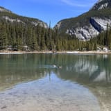 Goat Pond, Alberta, Canada - 135 Reviews, Map | AllTrails