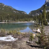 Goat Pond, Alberta, Canada - 135 Reviews, Map | AllTrails