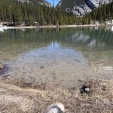 Goat Pond, Alberta, Canada - 135 Reviews, Map | AllTrails