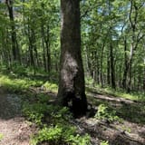 Hot Springs Sunset Trail Full Circle, Arkansas - 369 Reviews, Map ...