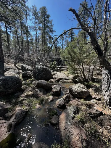 10 Best Trails and Hikes in Williams | AllTrails