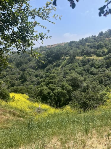 Best Hikes and Trails in Wilacre Park | AllTrails