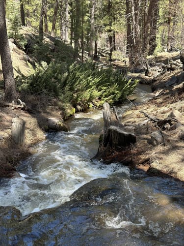 Best Hikes and Trails in Pine Valley Recreation Area (USFS) | AllTrails