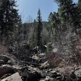 Crystal Creek Reservoir Trail, Colorado - 365 Reviews, Map | AllTrails