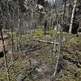 Crystal Creek Reservoir Trail [CLOSED], Colorado - 401 Reviews, Map ...