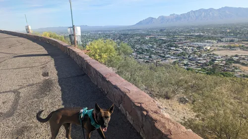 Best Hikes and Trails in Sentinel Peak Park | AllTrails