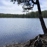 Lyons Dam, California - 531 Reviews, Map | AllTrails
