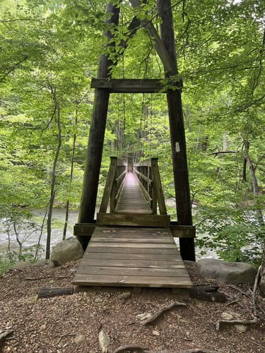 Best Hikes and Trails in Three Ridges Wilderness | AllTrails