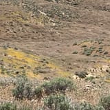 North Loop, Antelope Butte and Lightning Bolt Loop, California - 492 ...