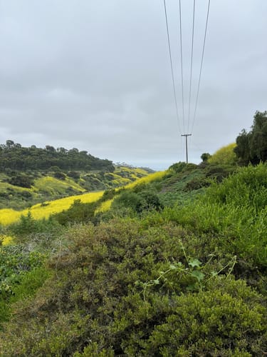 Best Hikes and Trails in Chapparosa Park | AllTrails