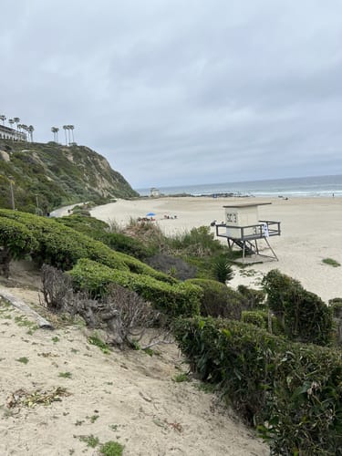 Best Hikes and Trails in Chapparosa Park | AllTrails