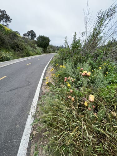 Best Hikes and Trails in Chapparosa Park | AllTrails