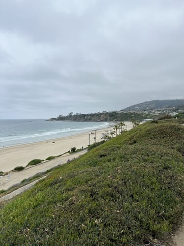 Best Hikes and Trails in Chapparosa Park | AllTrails