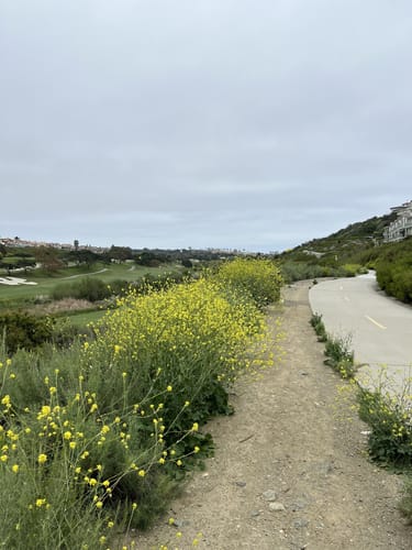 Best Hikes and Trails in Chapparosa Park | AllTrails