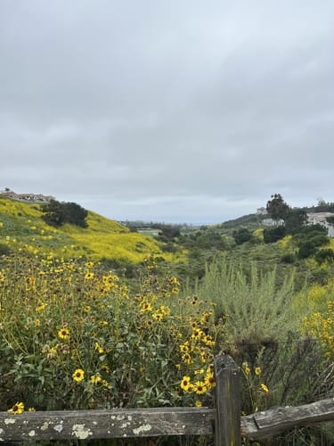 Best Hikes and Trails in Chapparosa Park | AllTrails