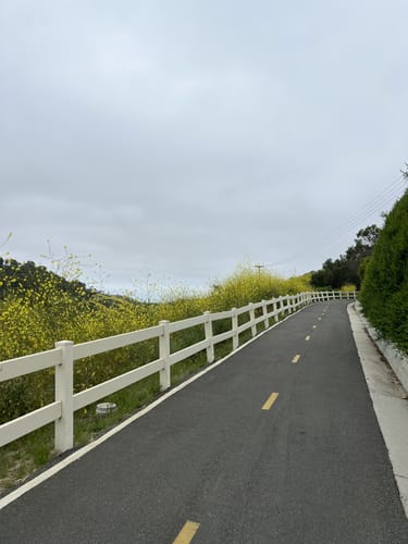 Best Hikes and Trails in Chapparosa Park | AllTrails