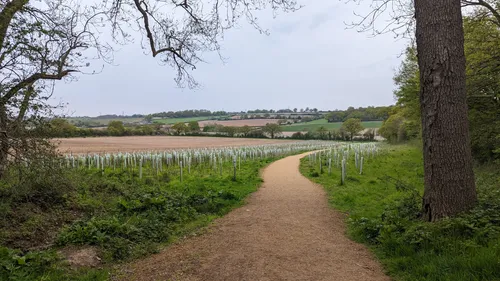 Best Hikes and Trails in Trent Park | AllTrails