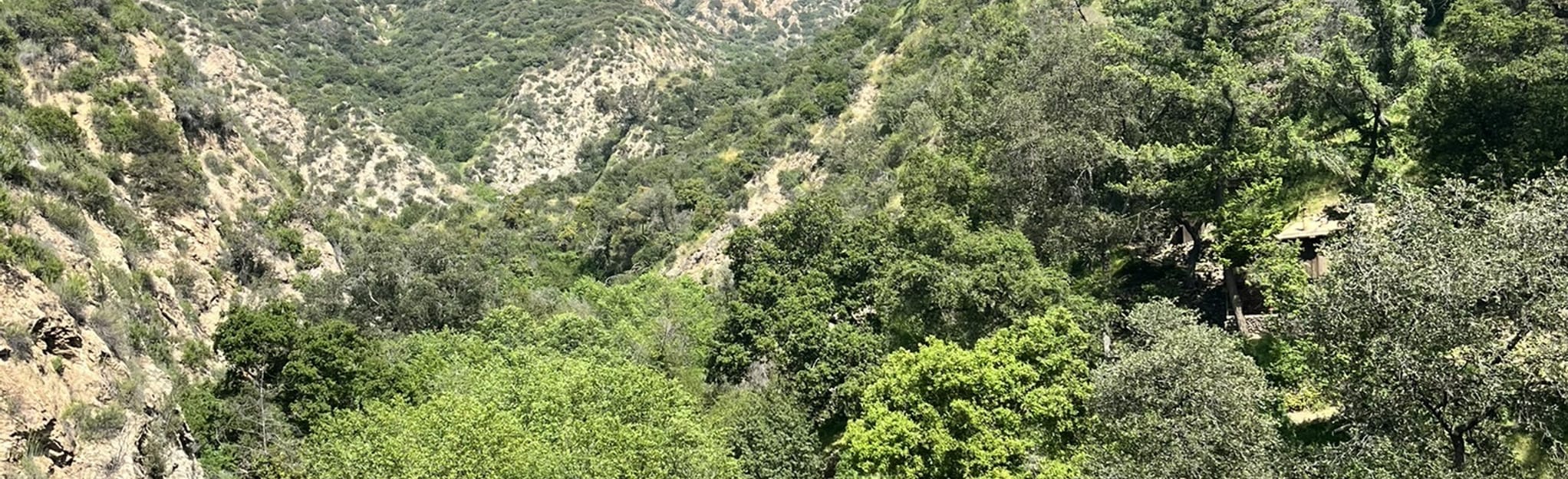 Millard Canyon Falls Trail: 3977 Reviews, Map - California | AllTrails