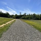 Mormon Island Browns Ravine Trail, California - 382 Reviews, Map ...