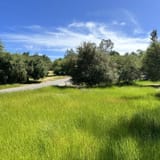 Mormon Island Browns Ravine Trail, California - 384 Reviews, Map ...