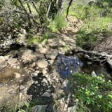 Mormon Island Browns Ravine Trail, California - 382 Reviews, Map ...