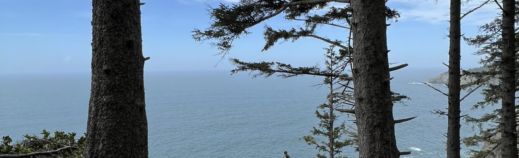 Oregon Coast Trail: Arch Cape to Devil's Cauldron: 156 Reviews, Map ...