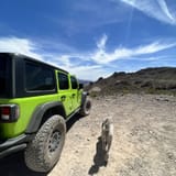 Burro Wash 4x4 Trail, Nevada - 309 Reviews, Map | AllTrails