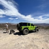 Burro Wash 4x4 Trail, Nevada - 309 Reviews, Map | AllTrails